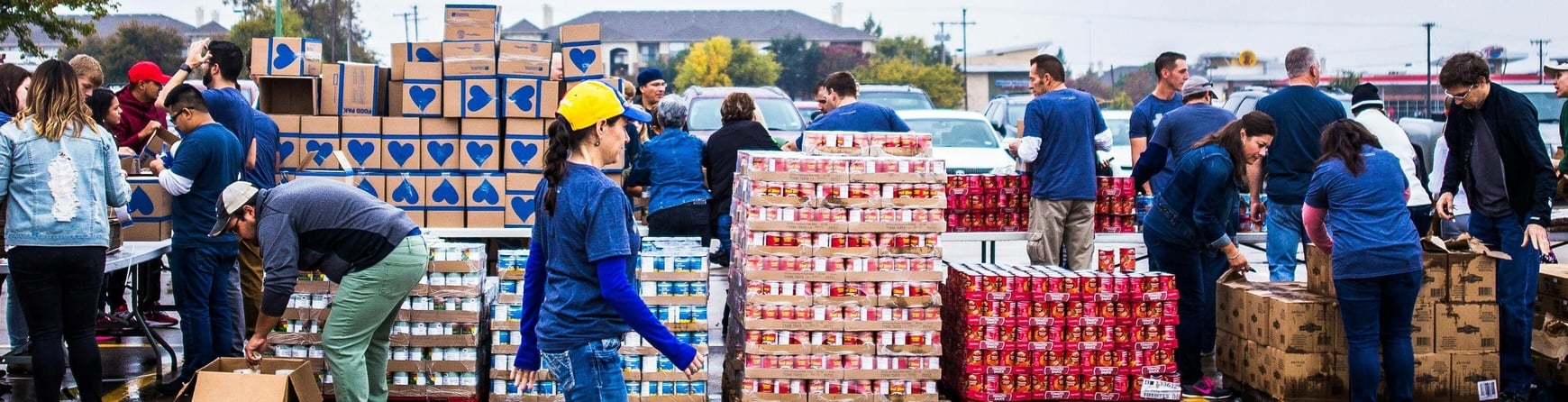 Online Storefront Interface